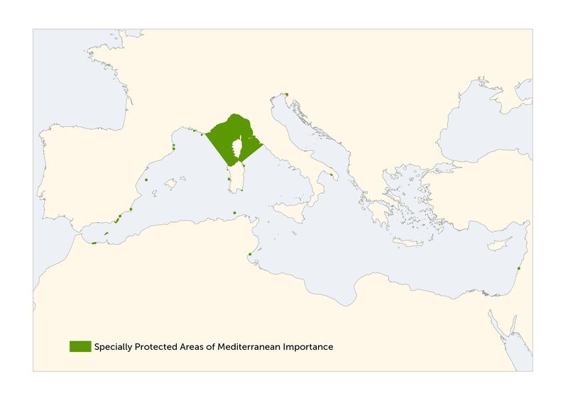 Specially Protected Areas of Mediterranean Importance (SPAMI ...